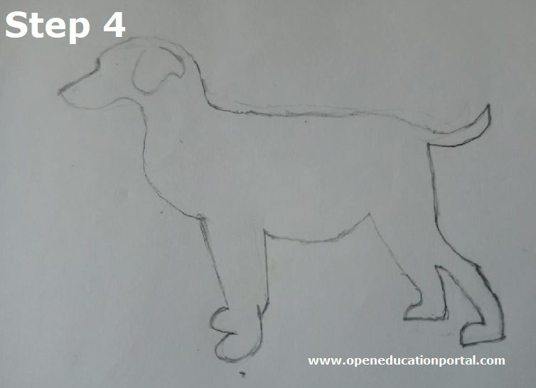 Step by Step How to Draw a Dog | Side View, Puppy, Realistic Dogs