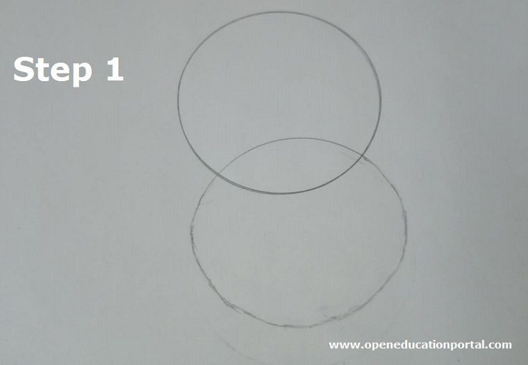 Step by Step How to Draw a Dog | Side View, Puppy, Realistic Dogs