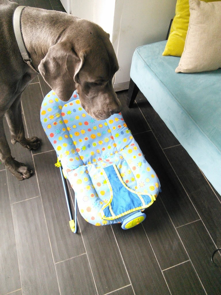 Can You Have a Baby in a Tiny House? - MiniMotives