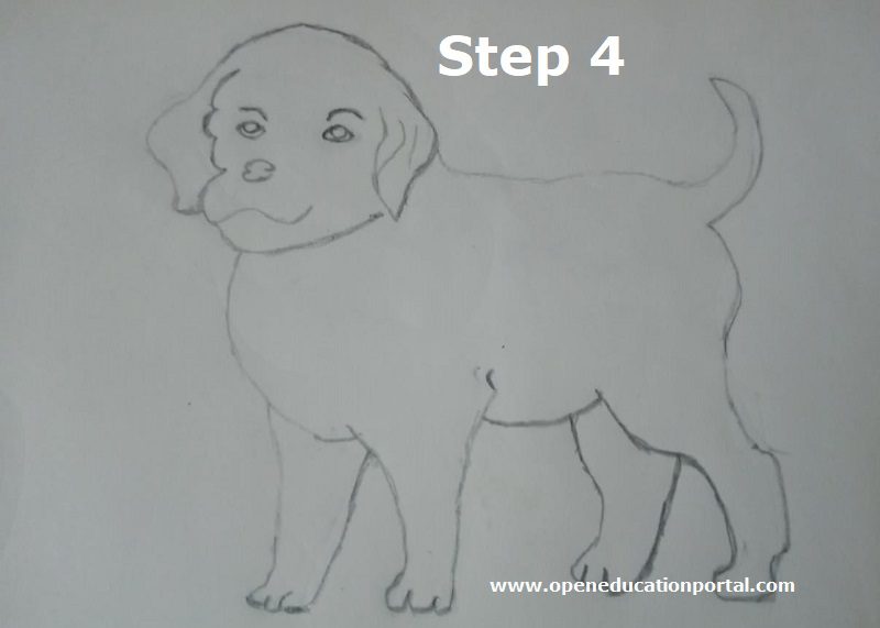 Step by Step How to Draw a Dog | Side View, Puppy, Realistic Dogs