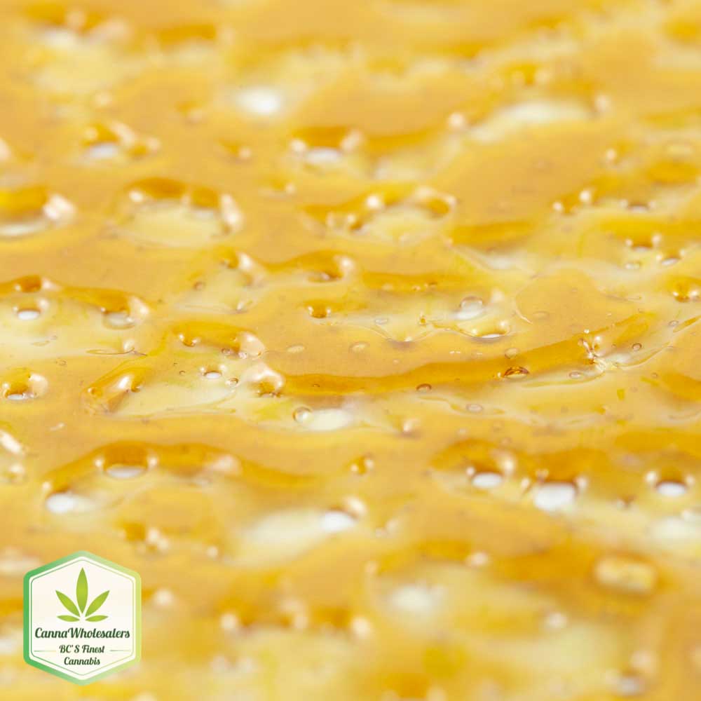 Buy Pineapple Express Shatter (Top Shelf) Online | Canna Wholesalers