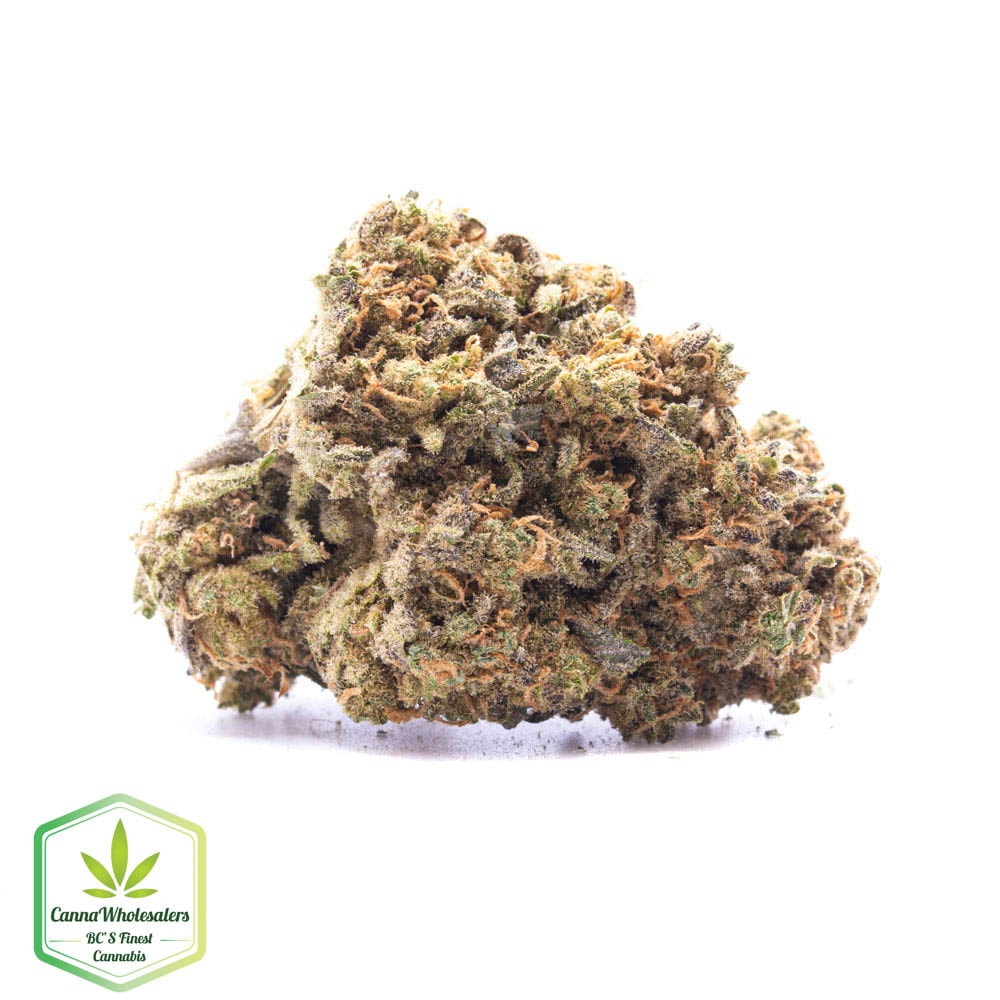 Buy Jawa Pie Online | Canna Wholesalers