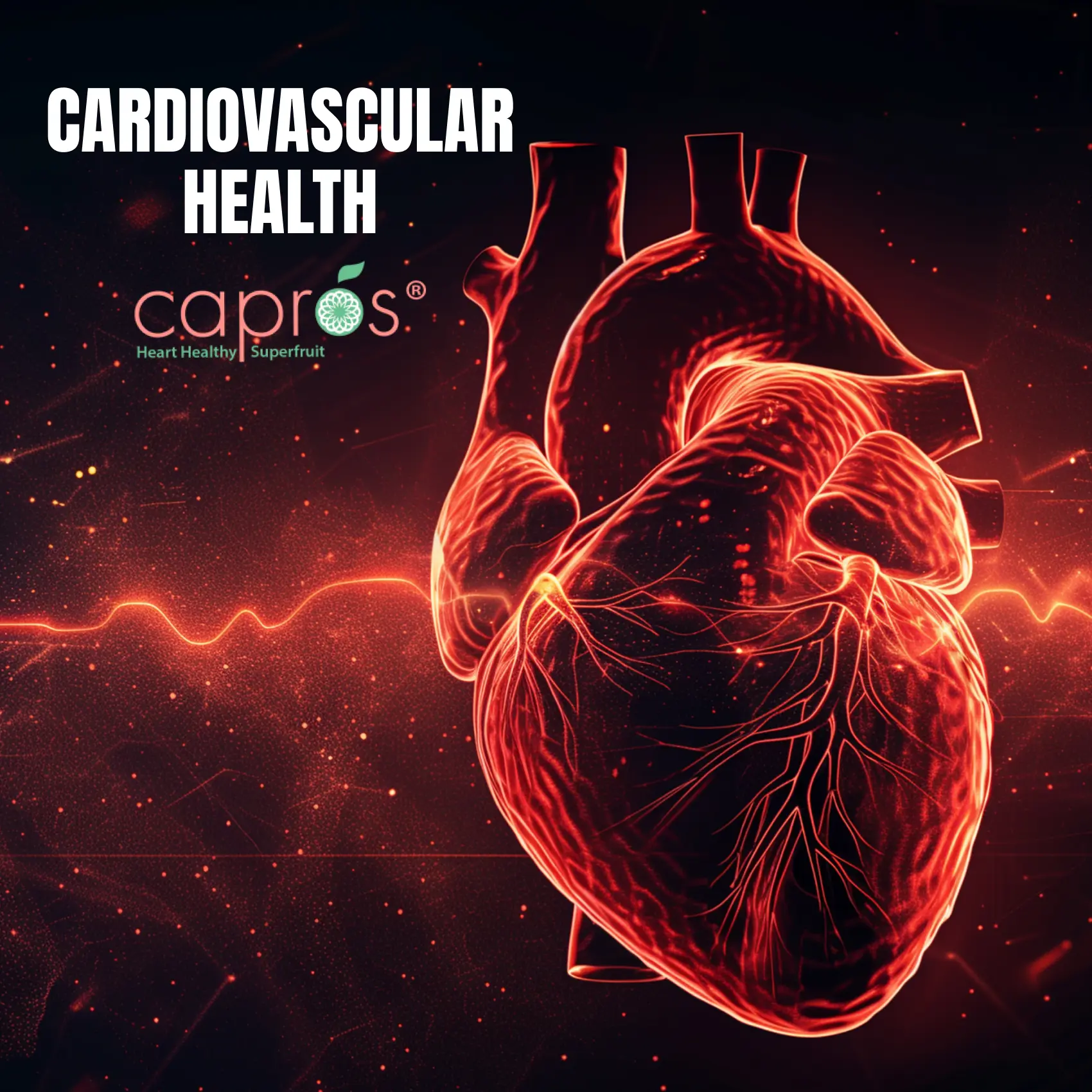 CARDIOVASCULAR HEALTH - GENMAG
