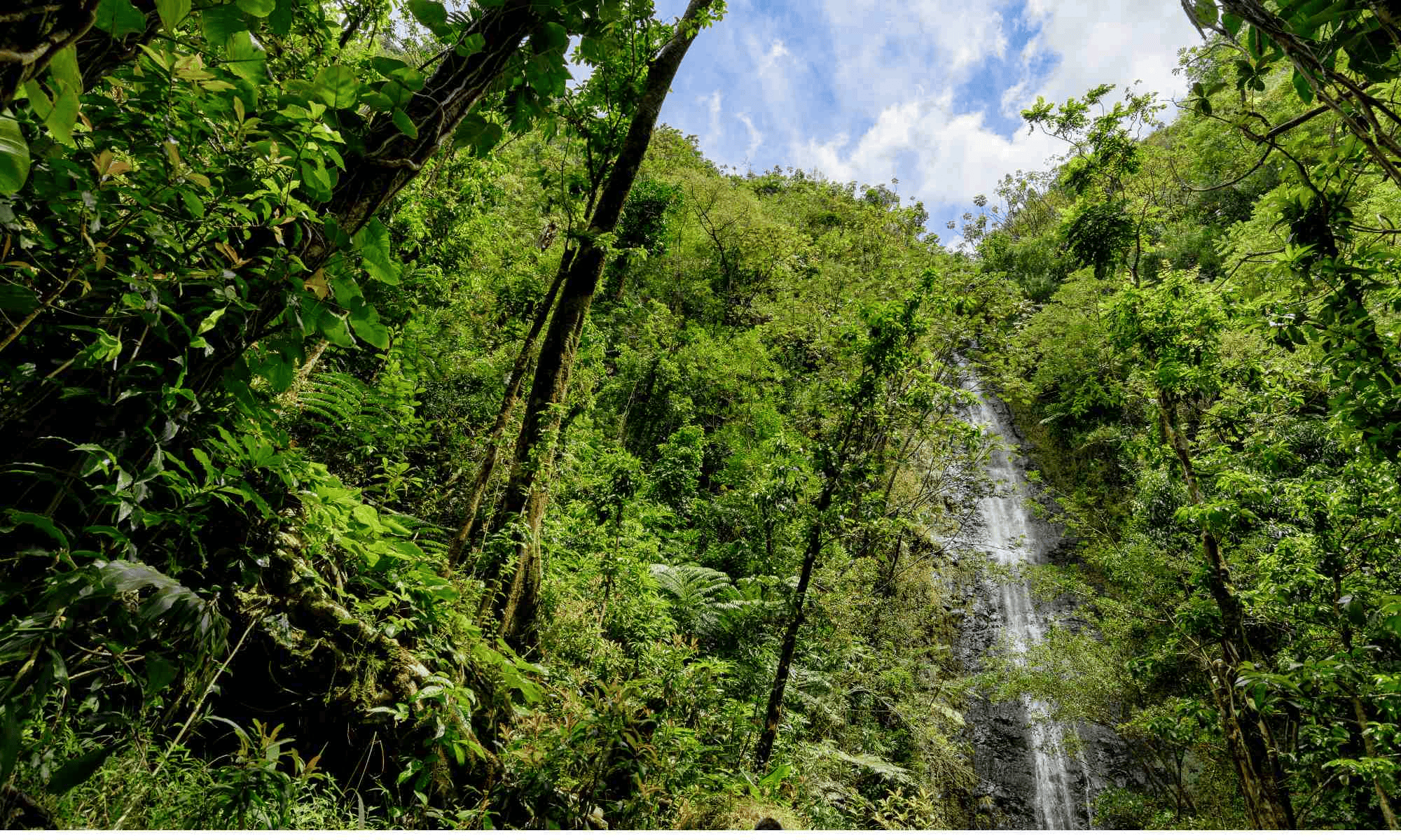 Discover the 7 Best Waterfalls in Oahu: Hiking in Paradise | MEREDITH ...