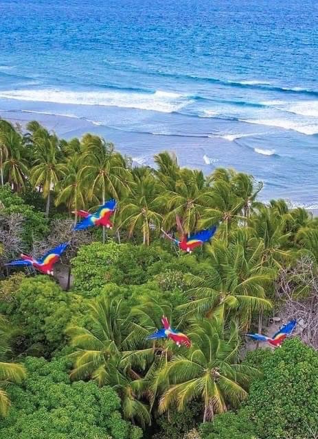 How to get married in Costa Rica. ☎️ Civil Marriage requirements.