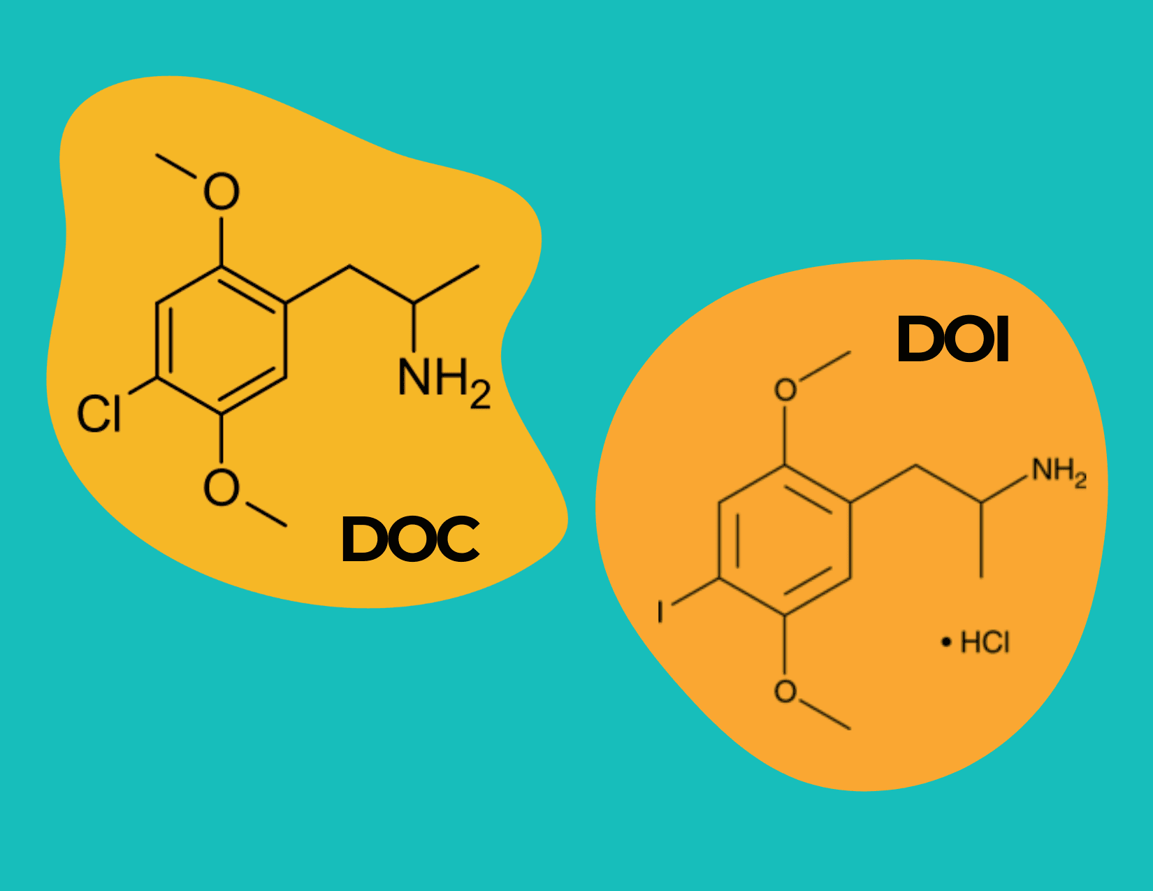 SSDP FIGHTS THE DEA IN COURT TO PRESERVE RESEARCH CHEMICALS - SSDP