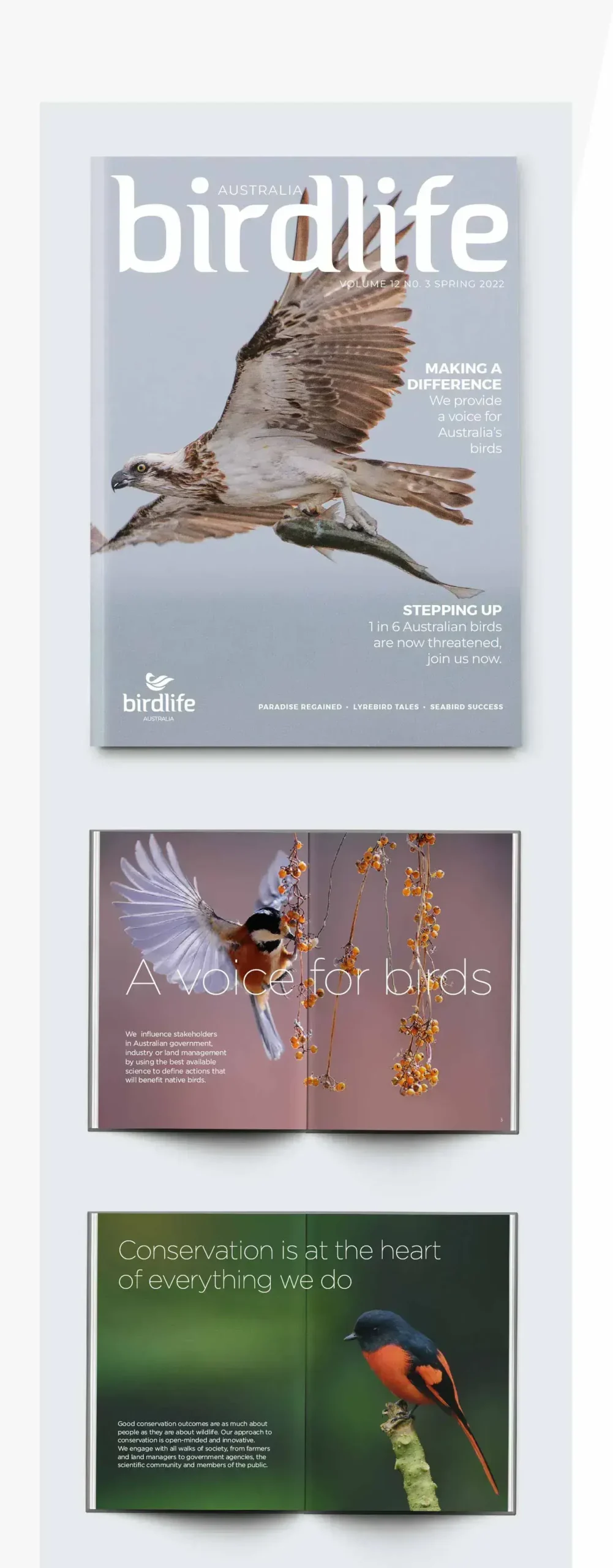 Our Work | Bird Life | A Voice For Australian Birds