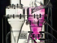 Everything you need to know about Kiln Burning Systems - INFINITY FOR ...