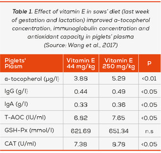 New swine vitamin recommendations for more productive and sustainable ...