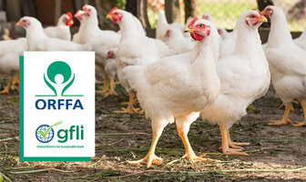 Orffa secures GFLI certification for its nutritional emulsifier - Feed ...