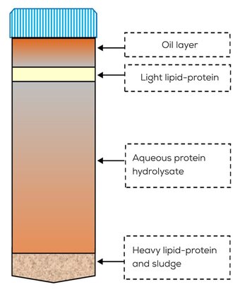 Fish protein hydrolysates in aquafeed - Feed & Additive Magazine