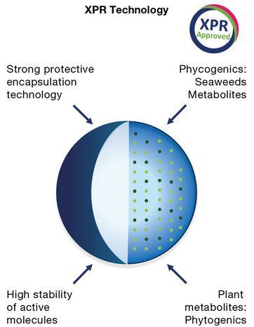 Micro Encapsulated Phytogenics: Redefining poultry performance and ...