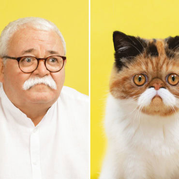 DIY Craft: Wonderful Cat Wand Toy - Modern Cat