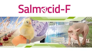 Adiveter announces the availability of Salmocid-F in South East Asian ...