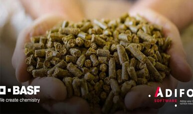 Adifo and BASF partner on a digital solution for sustainable feed ...