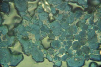 Everything you need to know about Microscopical Quality Control of ...