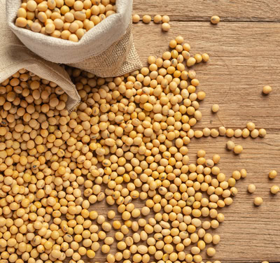 Ideal extruder temperature to produce best full fat soybean meal - Feed ...