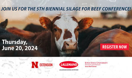Lallemand to host 5th Biennial Silage for Beef Conference - Feed ...