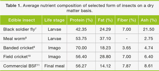 Novel Protein Sources: Impact of insect protein meals on pet food ...