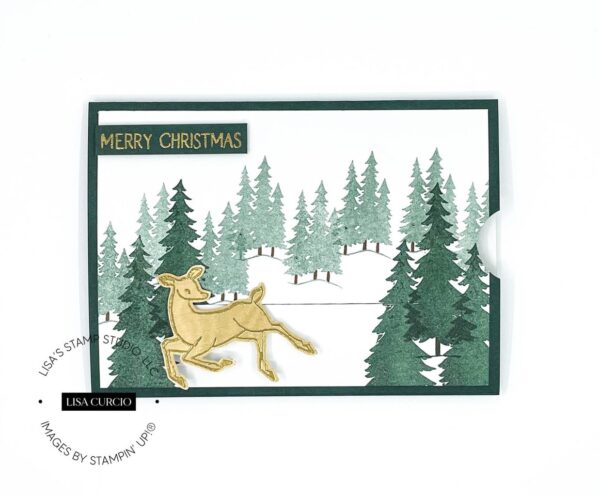 How to Make 4 Beautiful Interactive DIY Slider Cards - Lisa's Stamp Studio