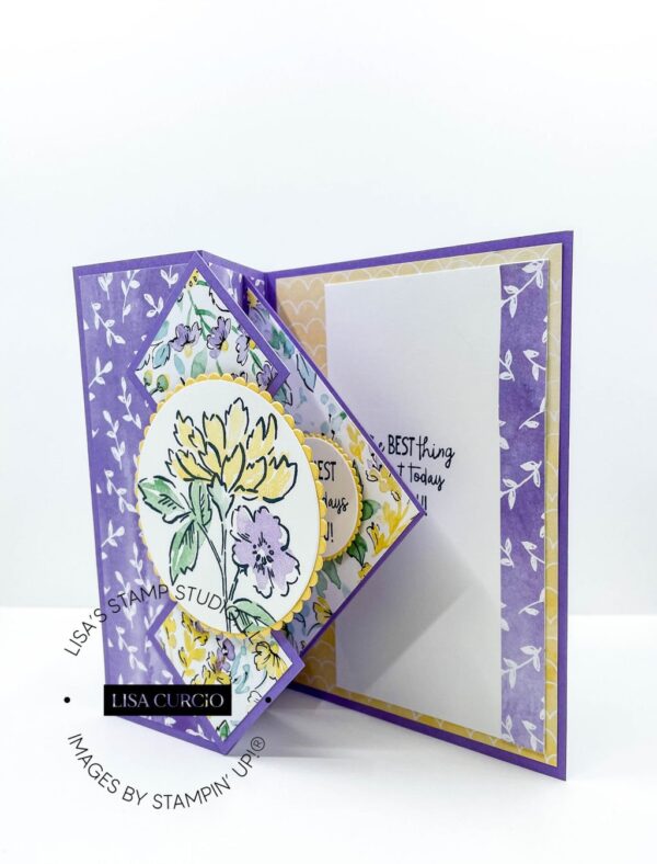 Pop Up and Pull Out! This Fun Fold Card is a Show Stopper! - Lisa's ...