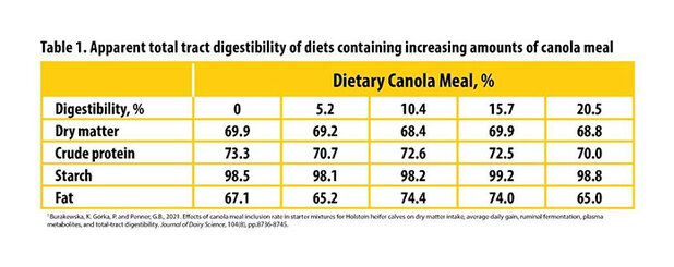 Dr Evans highlights canola meal's impact on dairy animals - Feed ...