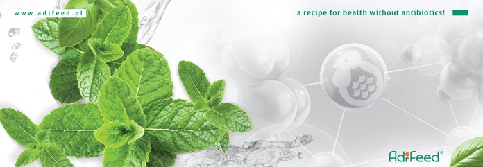 Phytoncides and so much more! - Feed & Additive Magazine