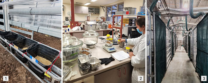 Rumin8 launches a trial for tastiest methane reducing feed additive ...