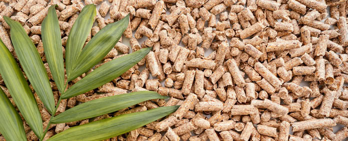 Phytogenic feed additives for a more resilient poultry production ...