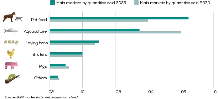 The present and future of the insect industry in 5 questions - Feed ...