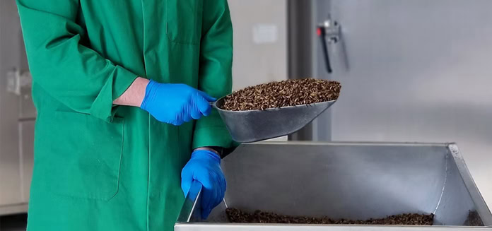 Traditional food production and insect farming for protein go hand in ...