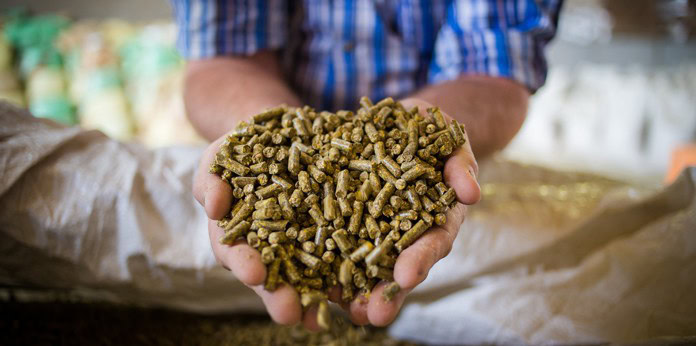 Improving pellet quality, the key to good performance - Feed & Additive ...
