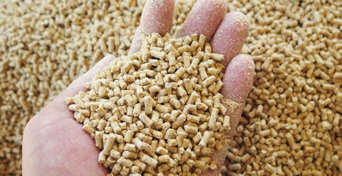 The use of organic acids in managing microbial degradation and ...