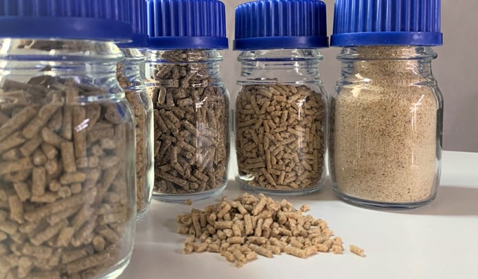 Global Feed Processing Market and Trends - Feed & Additive Magazine