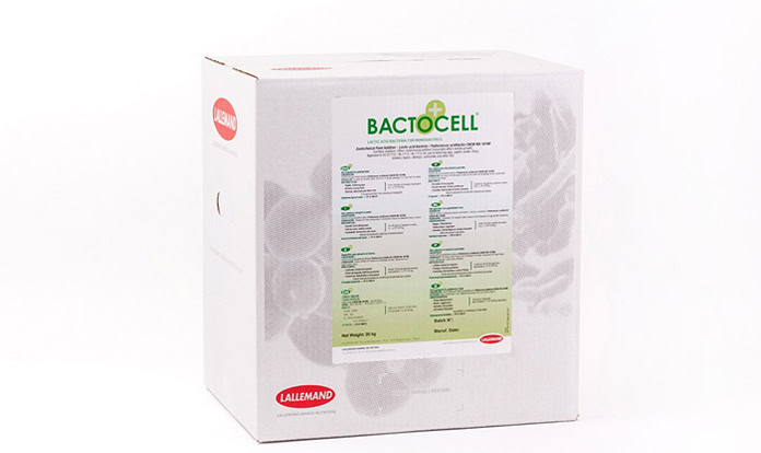 Bactocell authorized in EU as a technological additive - Feed ...