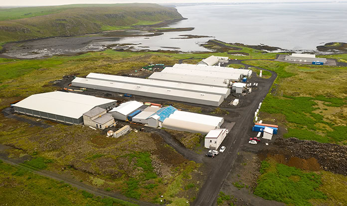 Benchmark Genetics opens new incubation facility in Iceland - Feed ...