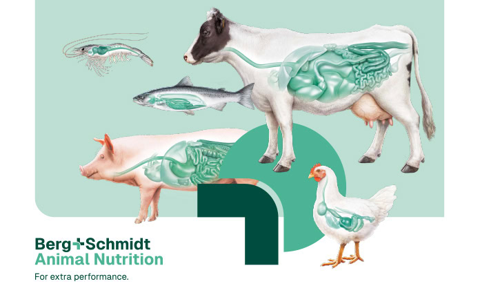 Berg + Schmidt to focus on performance boost for healthy livestock ...