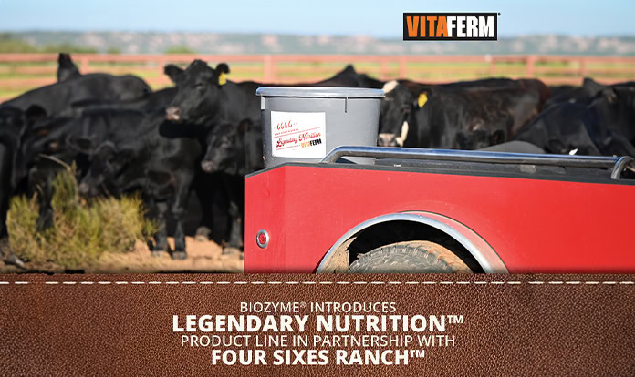 BioZyme introduces new product line for beef cattle under VitaFerm ...
