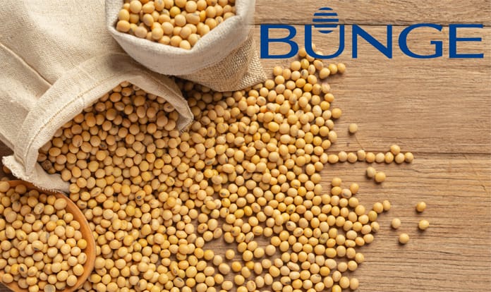 Bunge to invest in soy protein concentrate facility - Feed & Additive ...