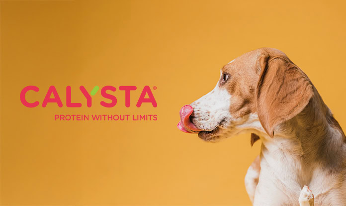 Calysta’s FeedKind Pet protein proven safe for dogs in long-term study ...