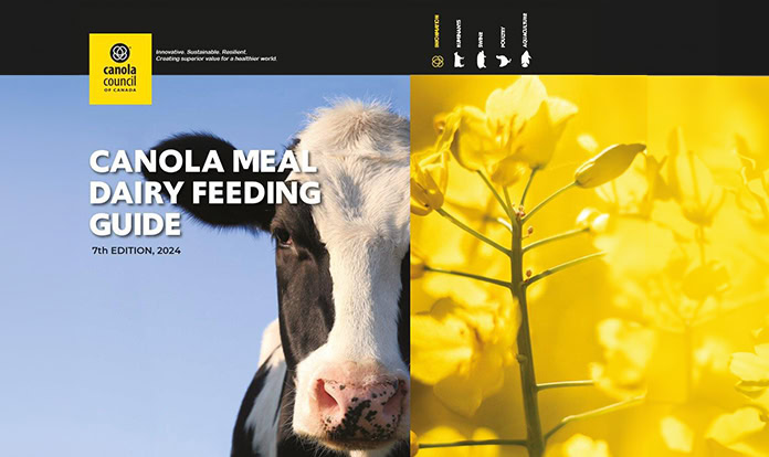 Dr Evans highlights canola meal's impact on dairy animals - Feed ...