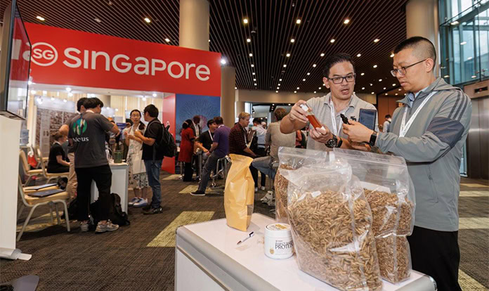 Industry experts gather to discuss insect feed and food sector - Feed ...