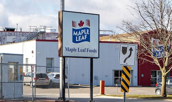 Maple Leaf Foods closes its plant in Brantford, Ontario - Feed ...
