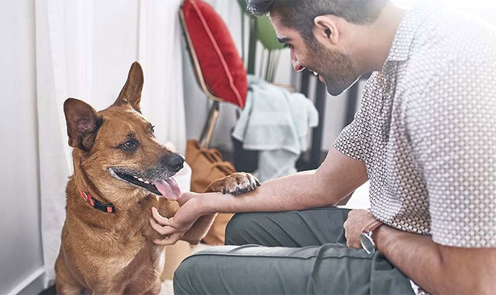 Nestlé Purina expands Mexican pet food plant - Feed & Additive Magazine