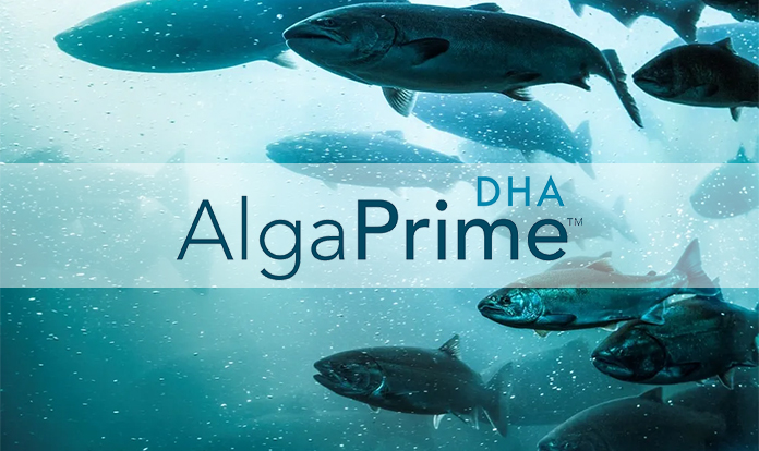 New study shows algae-based omega-3 can be used at varying levels ...