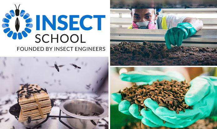 Insect Engineers opening its Insect School - Feed & Additive Magazine