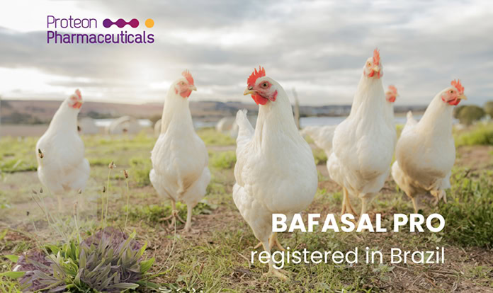 Proteon's bacteriophage-based feed additive approved in Brazil - Feed ...