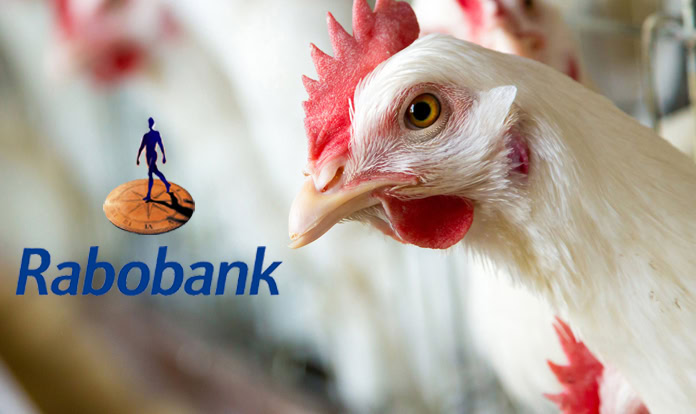 Rabobank explains challenges of poultry industry to face in 2023 - Feed ...