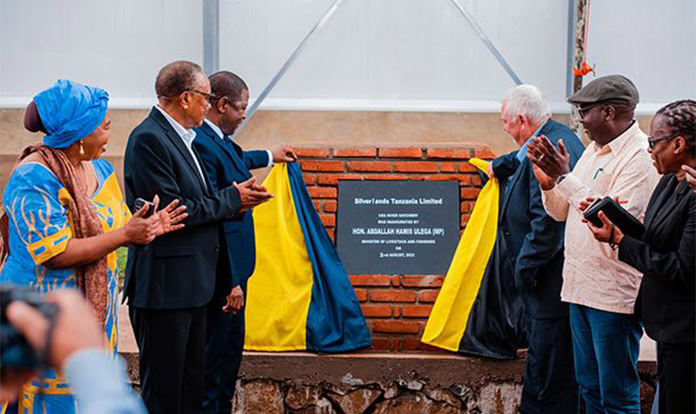 Tanzanian Silverlands prepares to produce 7.3 million day-old chicks ...