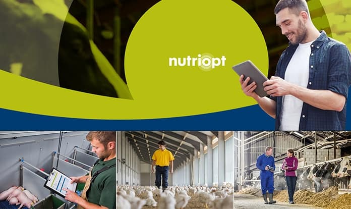 Trouw Nutrition launches MyNutriOpt for feed analysis - Feed & Additive ... Trouw Nutrition launches MyNutriOpt for feed analysis - Feed & Additive ...